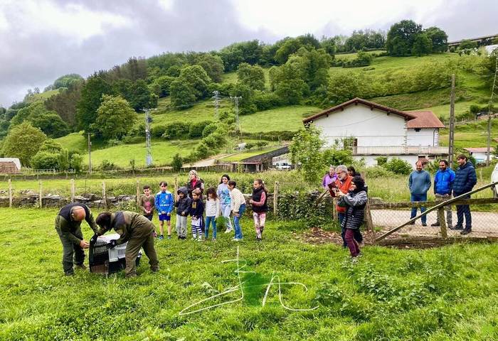 Apirilean aurkitutako urubiak askatu dituzte Areson - Leitzaldea ...