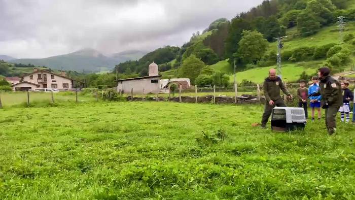 Areson urubiak askatu dituzten momentua - Leitzaldea - Erran.eus